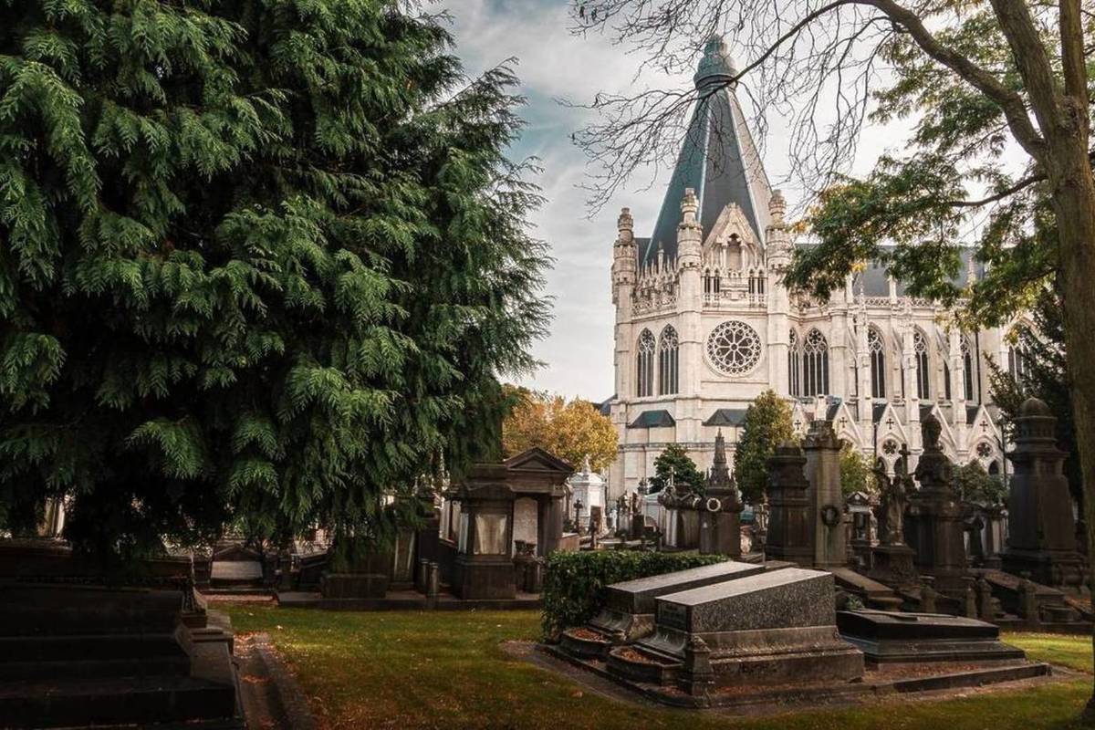 In a few weeks, one of Brussels’ rarest and most poetic phenomena will ...