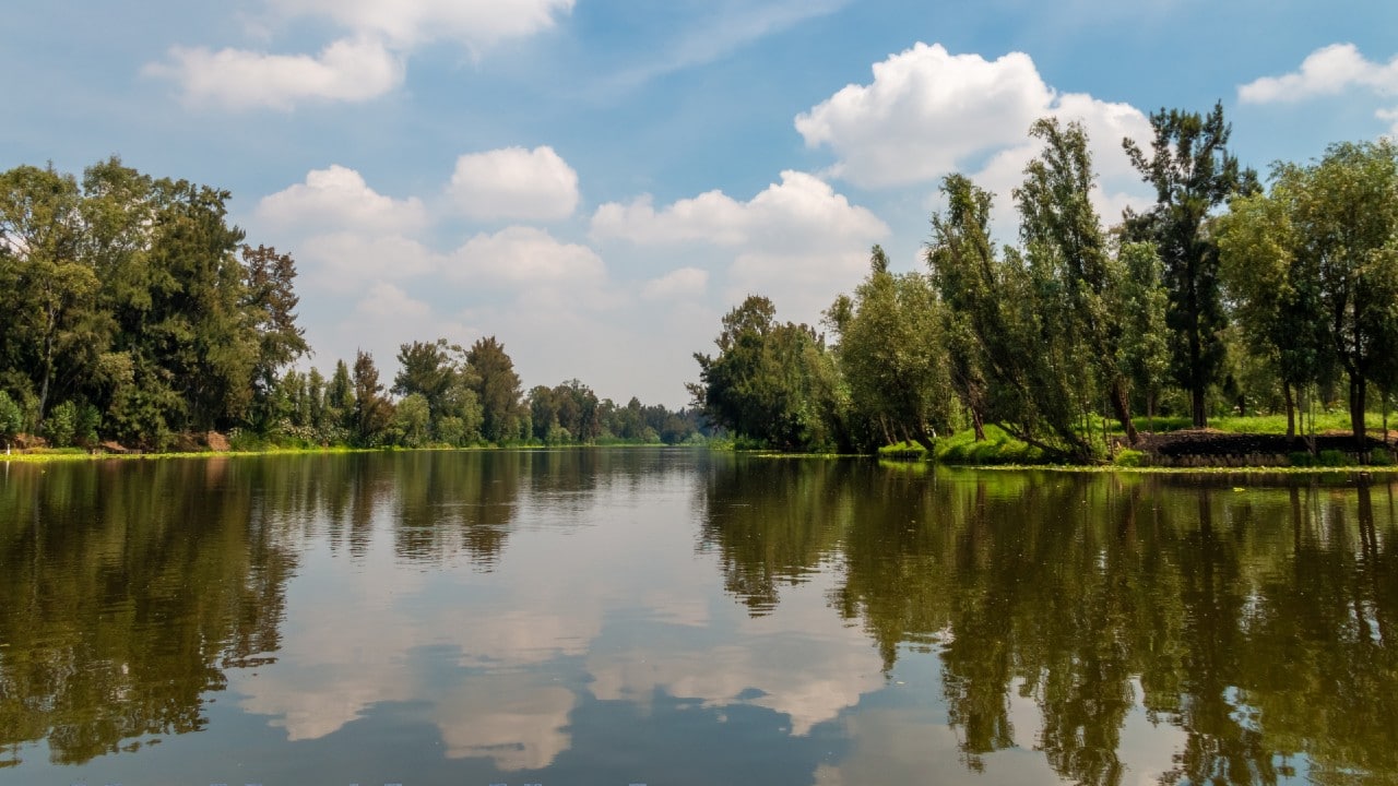 10 cosas que debes hacer en Xochimilco