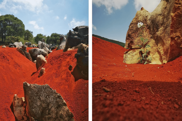 Todo lo que debes saber sobre las Dunas Rojas de Pacula