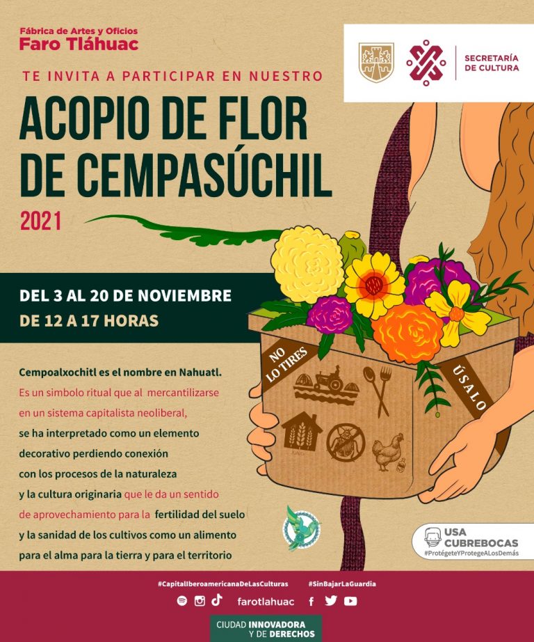 ¡No los tires! Te decimos cómo y dónde reciclar tus cempasúchiles