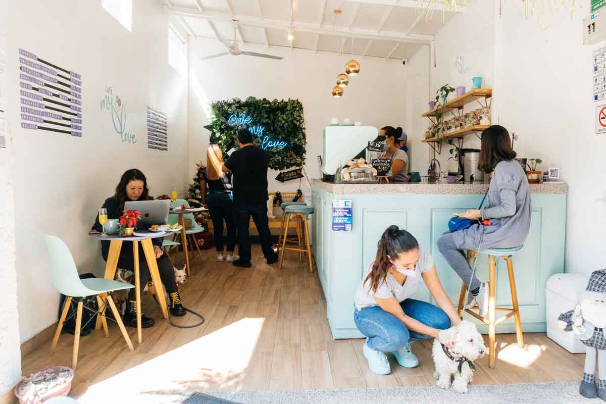 Cafe My Love: La cafetería pet friendly que debes conocer