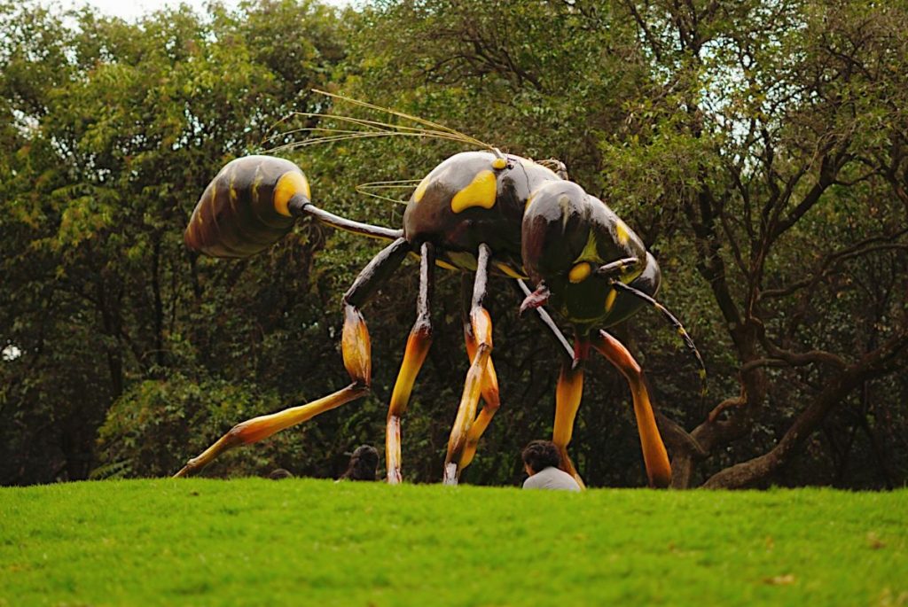 Chapultepec tendrá insectos monumentales por el Festival Insecta