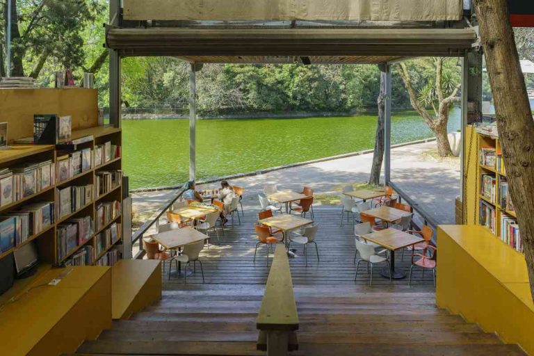 Trae tu libro favorito: sitios para leer al aire libre en CDMX