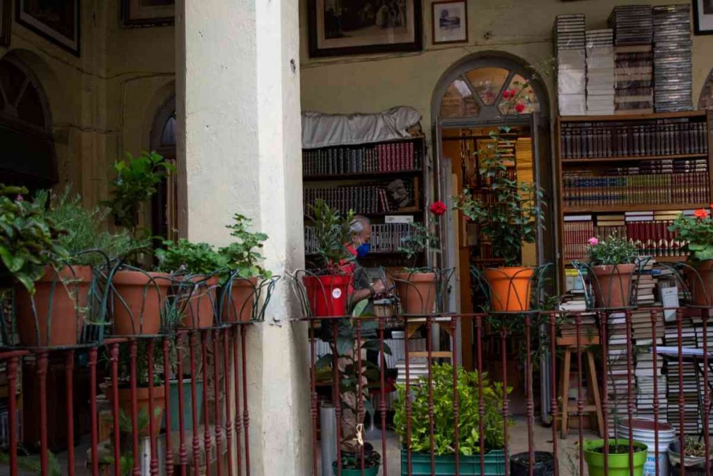 Lugares ocultos en CDMX que debes conocer