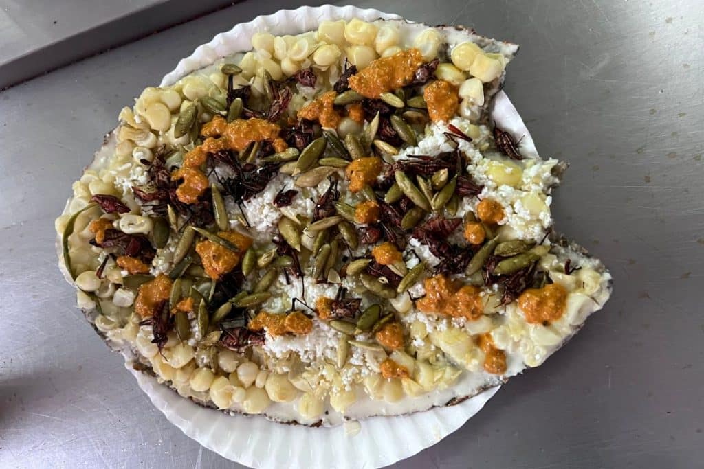 ¡La Birria Colorado se fusiona con Esquites Durango!