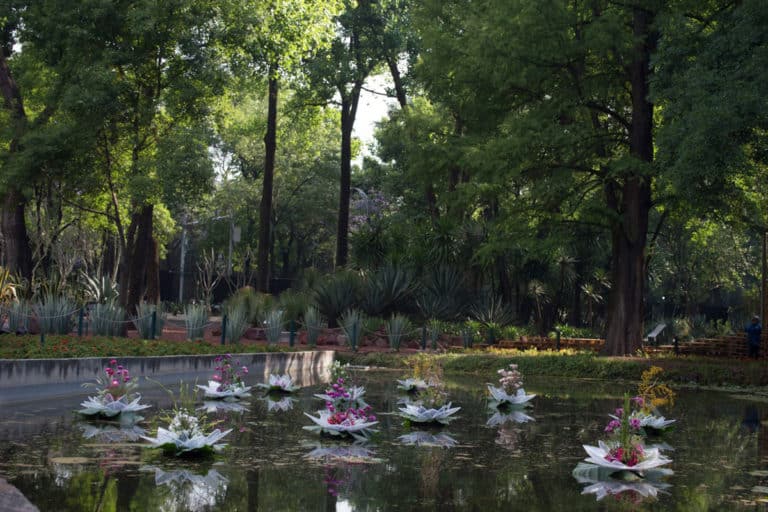 15 lugares para ir en familia en el Bosque de Chapultepec