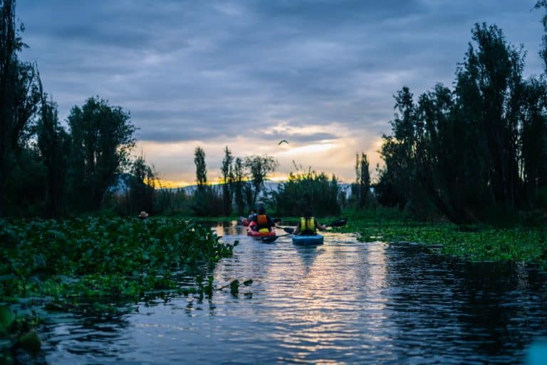 Qué hacer en Xochimilco: Los planes imperdibles de la zona