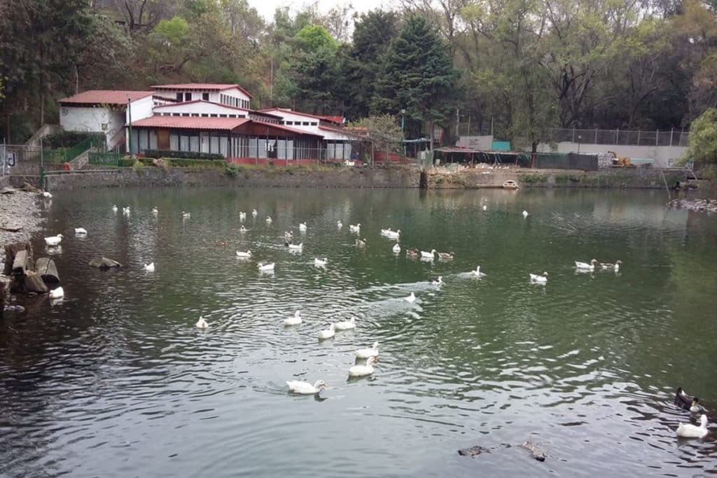 Lagos en CDMX que puedes visitar: ¿cuántos conoces?