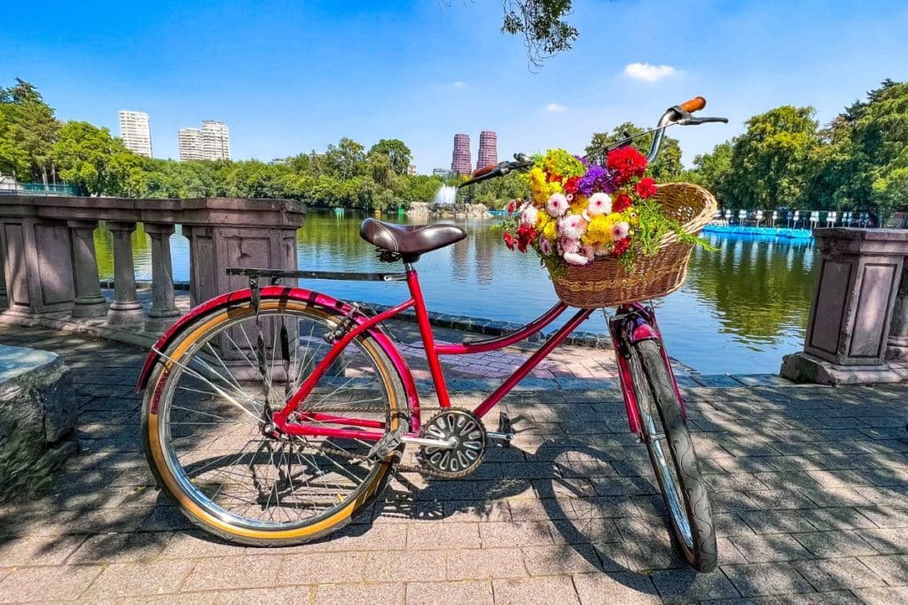 Baika Rool: ¡da un paseo en bici retro por CDMX!