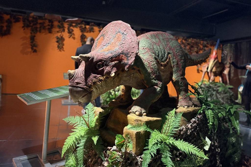 Fin de semana en CDMX: qué hacer para divertirte al máximo