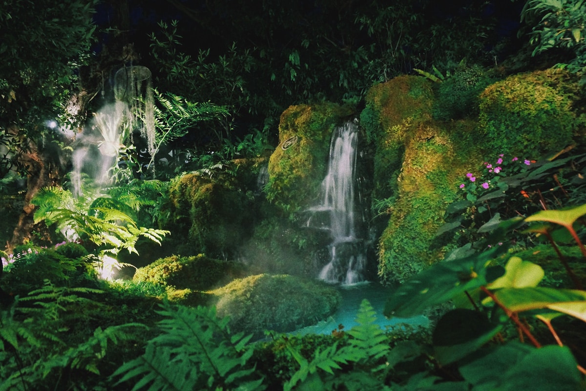 Habrá una experiencia selvática inmersiva en el Museo de Sitio