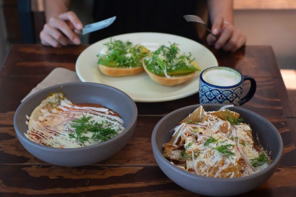 What to do in CDMX: 44 things to do in Mexico City today
