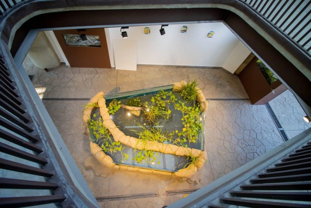 What to do in CDMX: 44 things to do in Mexico City today