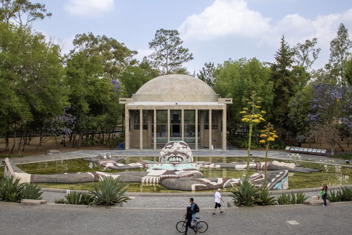 21 actividades gratis en el Bosque de Chapultepec en mayo