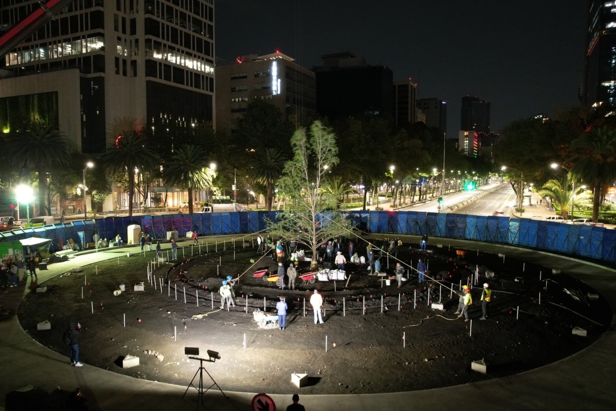 Plantan nuevo ahuehuete en Reforma: ¿y el anterior?