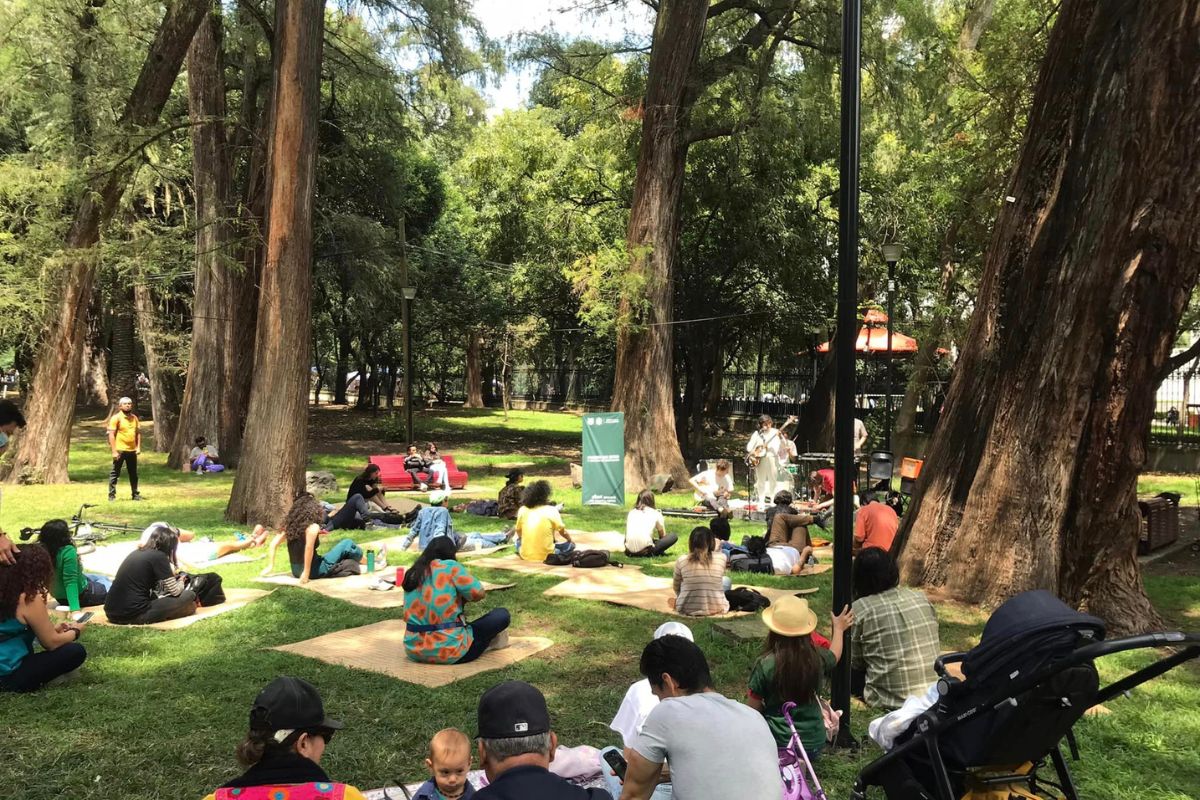 Picnic bajo ahuehuetes en el Museo del Sitio de Chapultepec