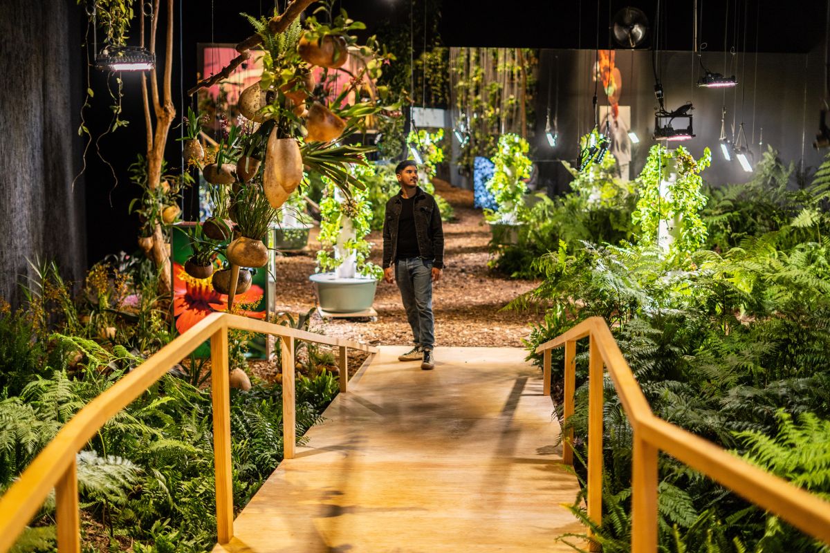 Yellow Day 2023: qué es y cómo celebrarlo en CDMX