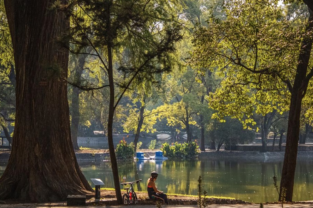 Bosque de Chapultepec en agosto: ¡24 actividades gratis!