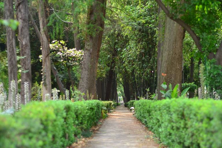 ¿Los has visitado? Conoce los 8 parques más bonitos de CDMX