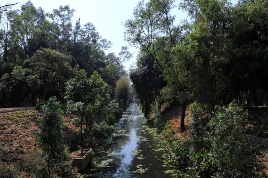 ¿Los has visitado? Conoce los 8 parques más bonitos de CDMX