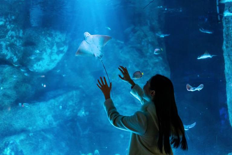 Lugares para ir en pareja: 16 opciones geniales en CDMX