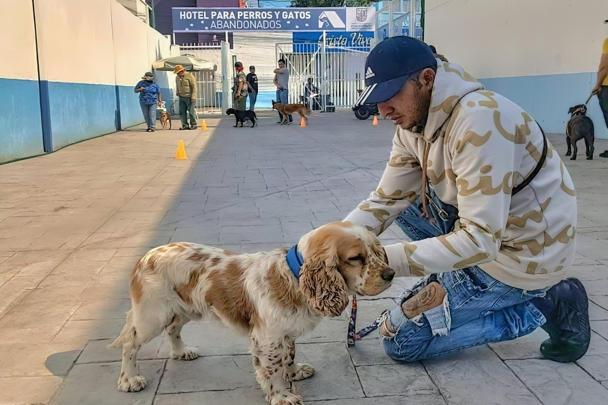 ¡Hay entrenamiento canino gratuito en alcaldía Cuauhtémoc!