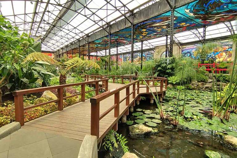 ¡Descubre el Cosmovitral Jardín Botánico de Toluca!