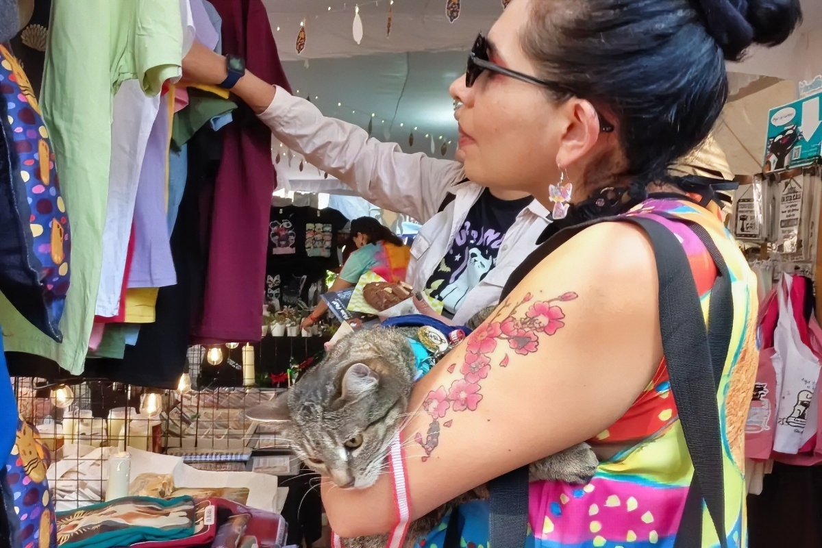 Meow Fest: Huerto Roma will turn into a circus to help kittens