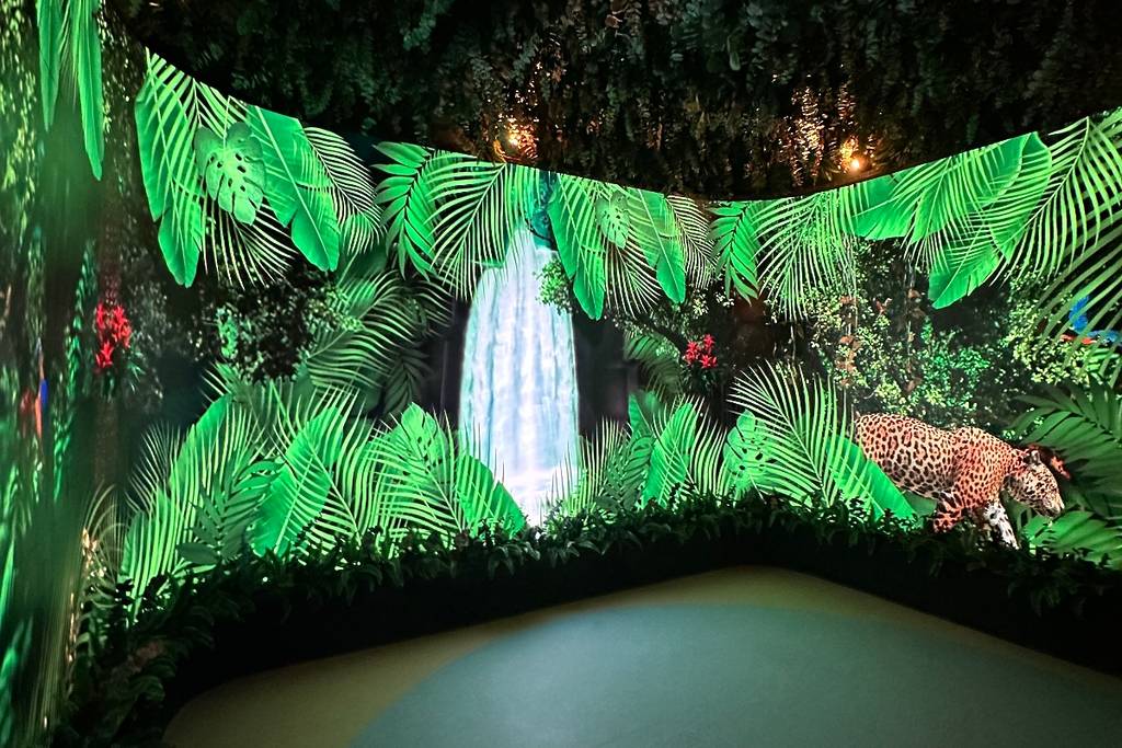 ¡Similandia estrena sucursal en el Centro de la CDMX!