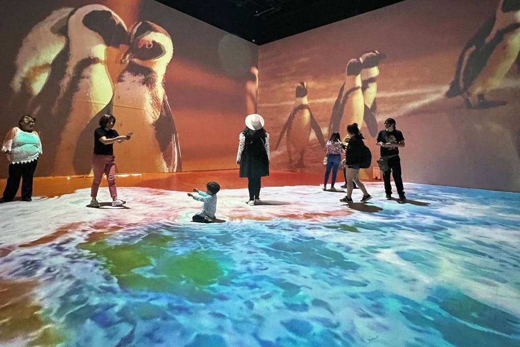 Museo inmersivo en CDMX: 5 con experiencias alucinantes