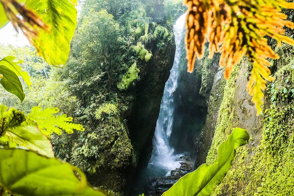 5 cascadas paradisíacas en Cuetzalan donde podrás nadar