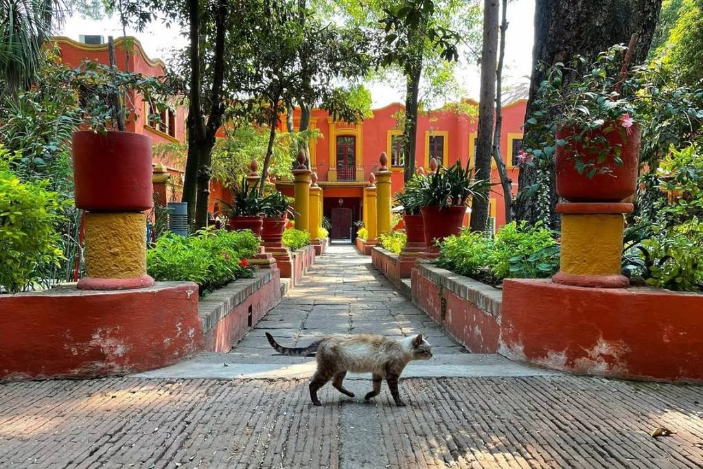 Lugares baratos para salir con tu pareja en CDMX