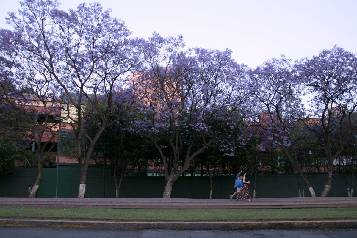 When is the March 2025 long weekend, a mandatory break?