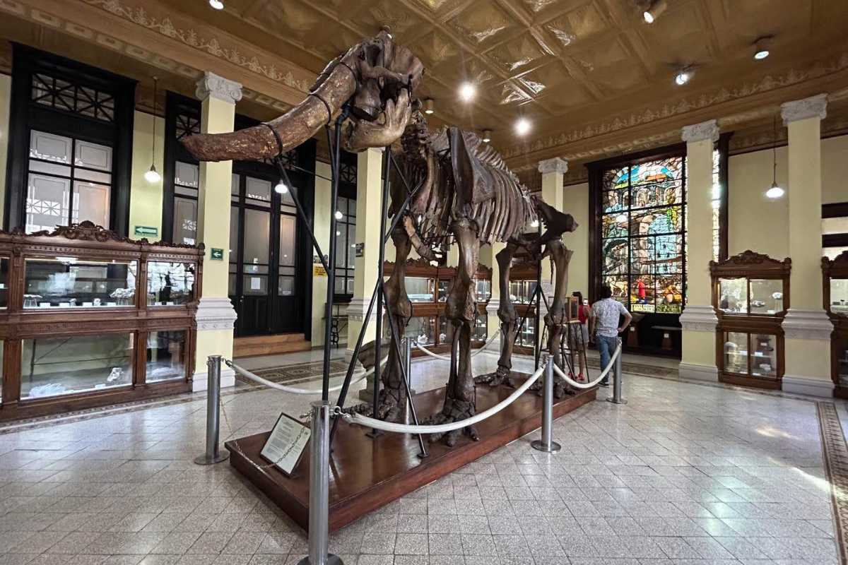 Costo y cómo llegar al Museo de Geología de la UNAM