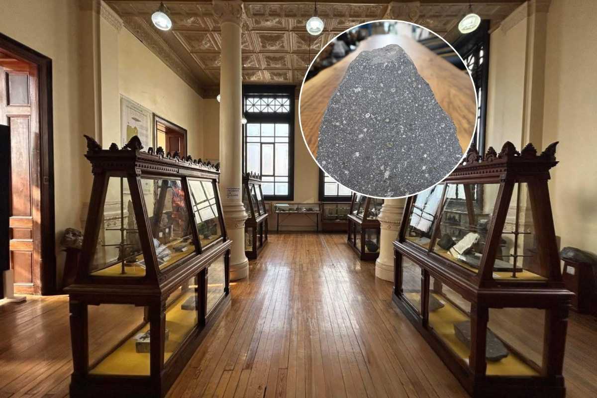 The Allende meteorite is older than the Sun! Veil in CDMX
