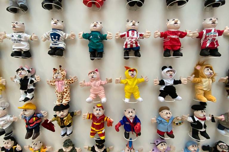 El museo del Dr. Simi tiene un océano inmersivo y capuchinos con su ...