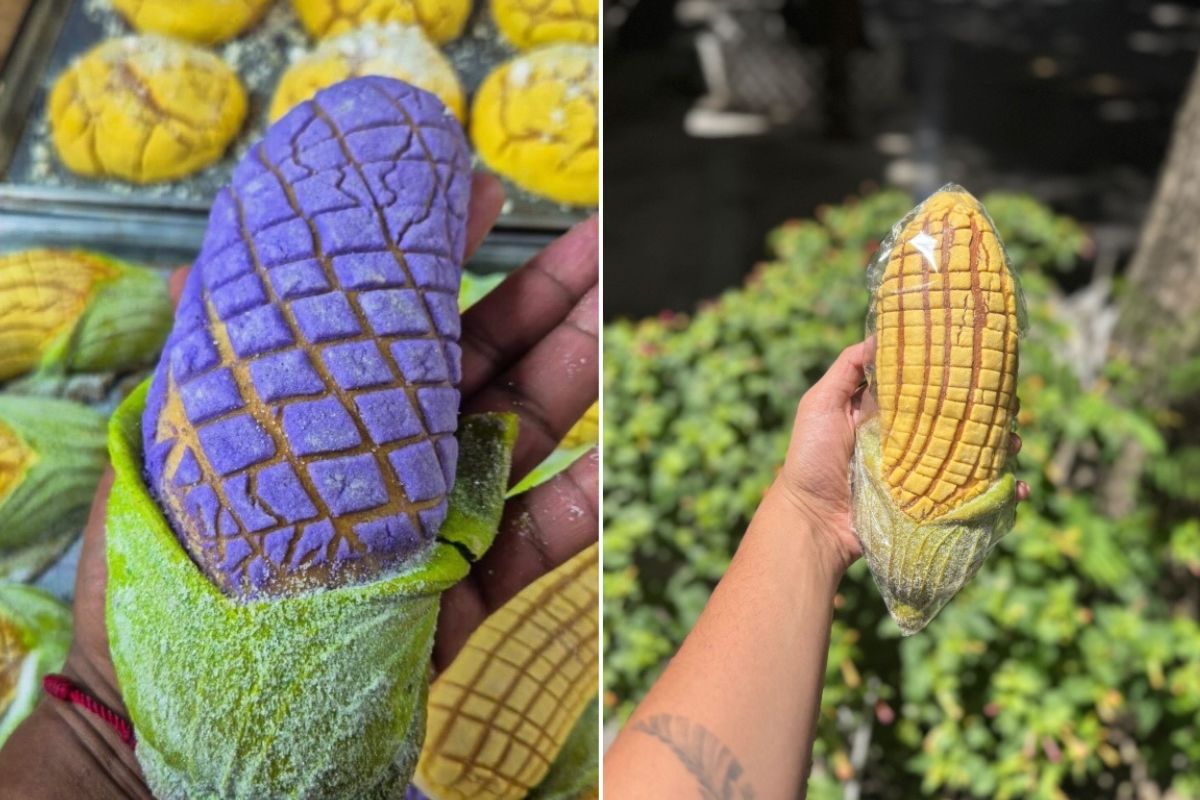 Concha en forma de elote por $30: esta famosa fondita de CDMX las vende en honor al maíz mexicano