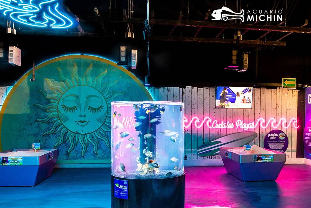 Michin Aquarium launches $99 tickets this summer: special prices for ...