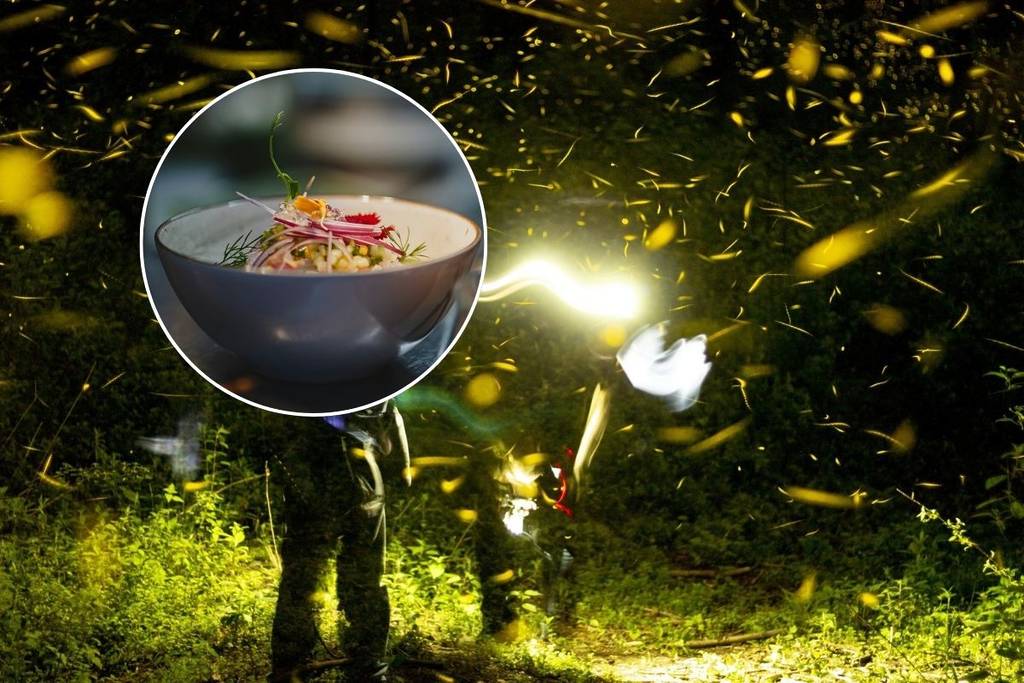 Dinner by the light of fireflies in CDMX: with bonfire and ceremonial ...