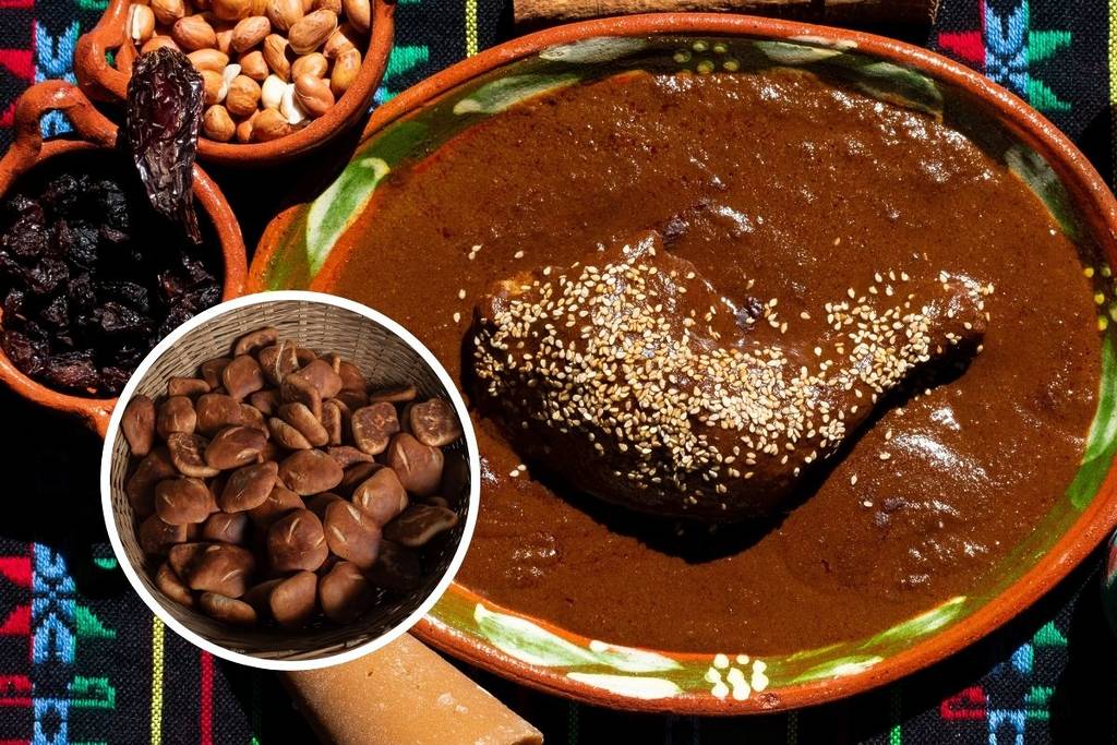Cocoles artesanales, mole para todos los gustos y espectáculos: así ...