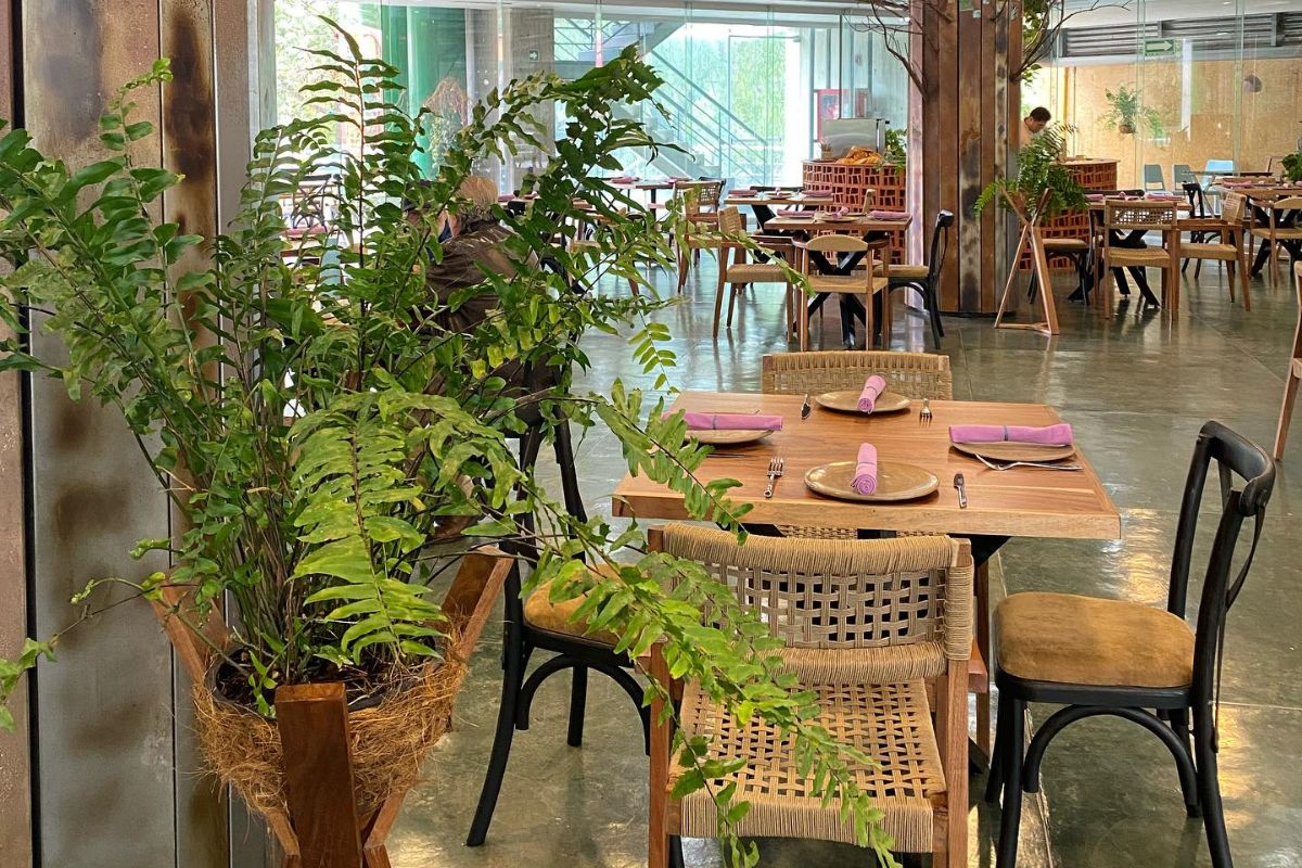 Desayuno buffet en la UNAM: platillos mexicanos, pan dulce ilimitado y ...