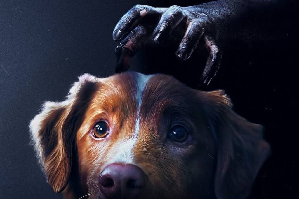 Good Boy: la película de terror sobre un perro que presencia cómo ...
