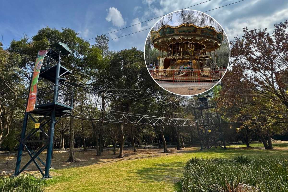 Este rincón de Chapultepec tiene tirolesa, laberinto de cristal y ...