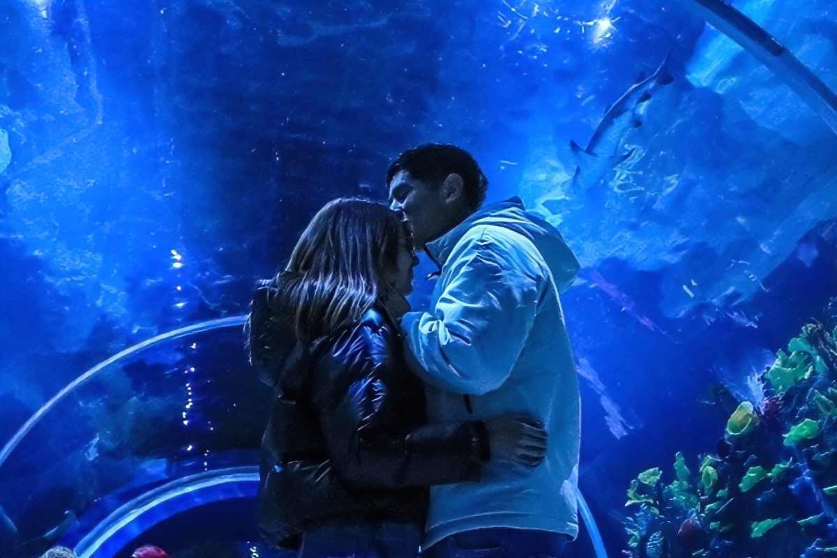 ¿Cena bajo el mar en CDMX? Así es la experiencia de San Valentín en el ...