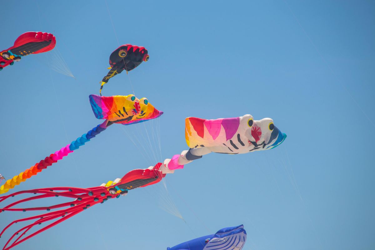Giant kite festival, workshops, and live music in this magical town ...
