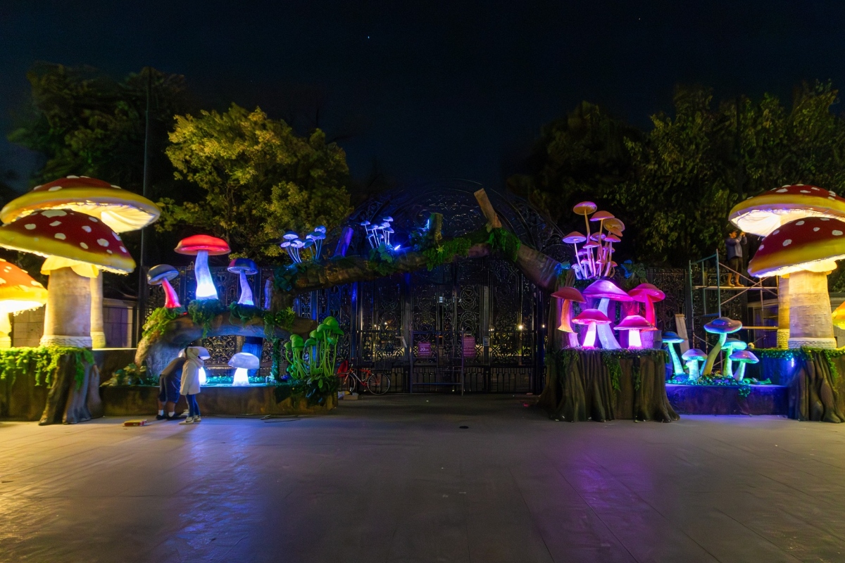 The Chapultepec Forest Festival returns in 2026 with a nighttime picnic ...