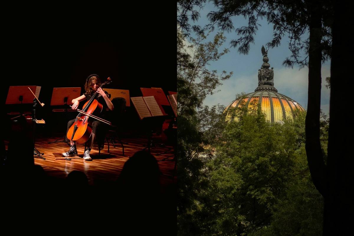The arts music festival that will bring together orchestras, ensembles ...