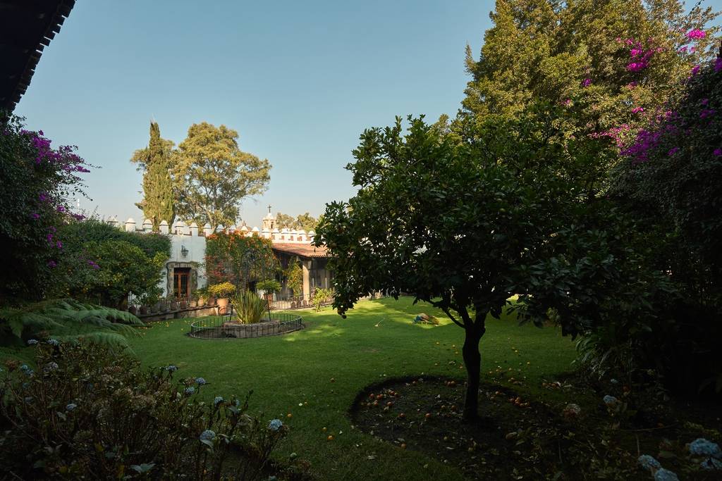 Mexico City’s most anticipated return: Dates, hours, and everything ...