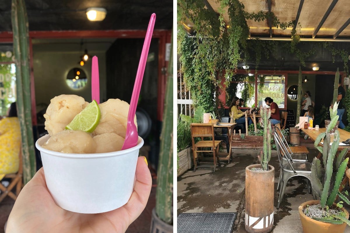 Helados Monóculo, prueba helado de tejuino y tonicol