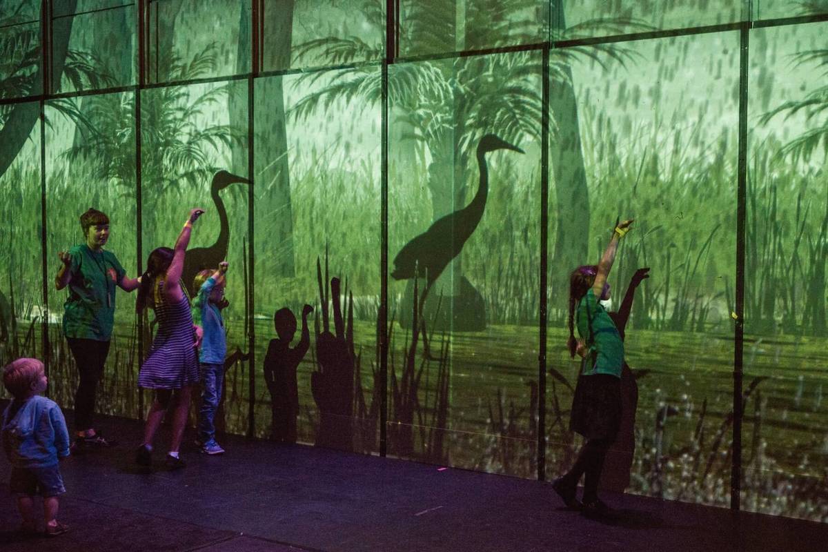 Una experiencia inmersiva única llega a Guadalajara en octubre 2025 ...